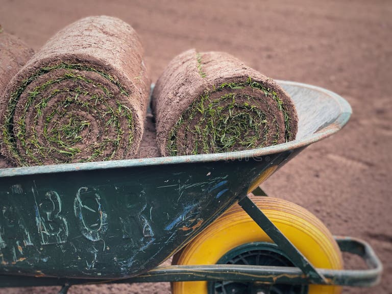 Grass rolls stock photo. Image of lawn, working, wheelbarrow - 369646330