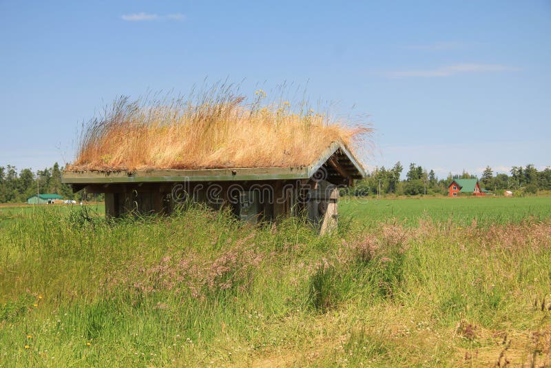 Grass Roof House stock photo. Image of state, roof, grassy - 47862982