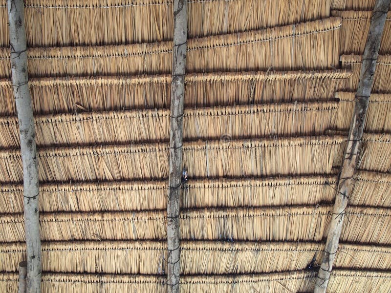 645 Dried Grass Roof Texture Stock Photos - Free & Royalty-Free Stock ...