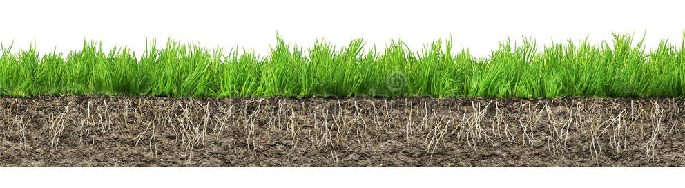 Soil Stabilizers Stock Illustrations – 148,235 Soil Stabilizers Stock ...