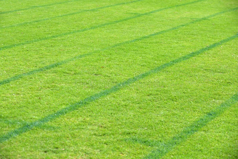 Grass Running Track Outdoors Abstract Background and Texture Stock ...