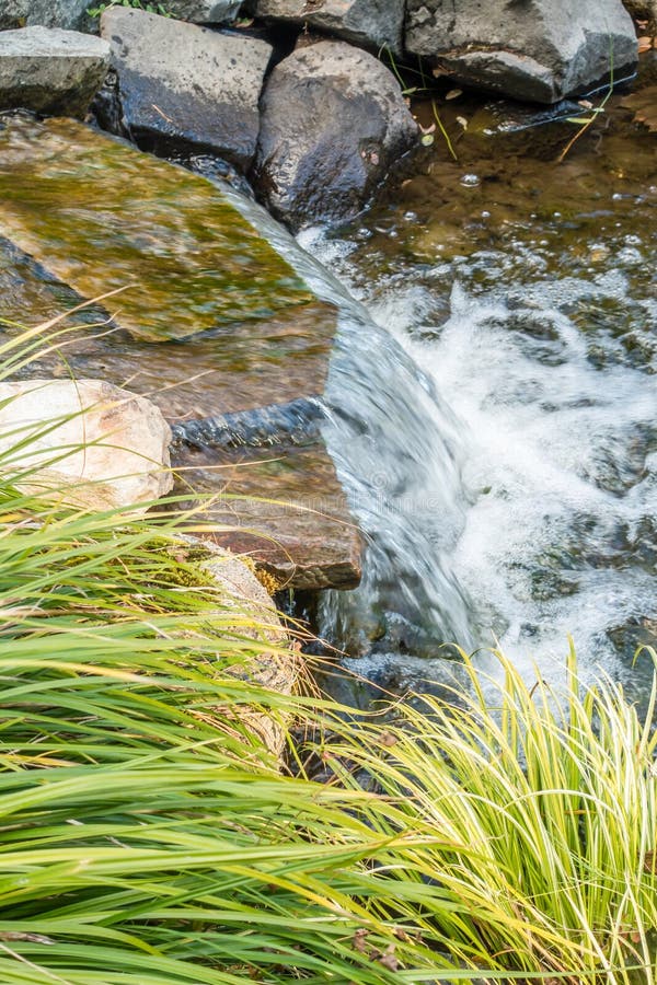 Grass and Rushing Water stock photo. Image of outdoors - 102708438