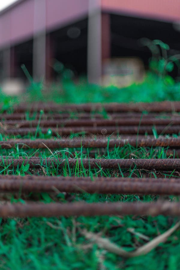 Grass and rusty rods stock image. Image of industry - 258799941