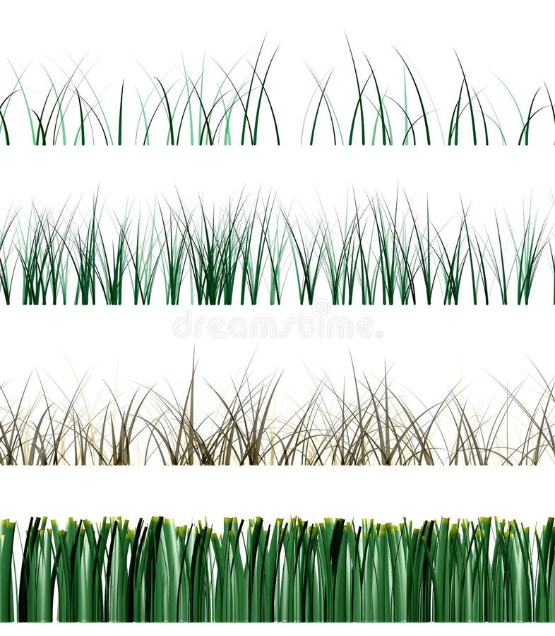 Grass samples stock photo. Image of terrain, five, natural - 10316436