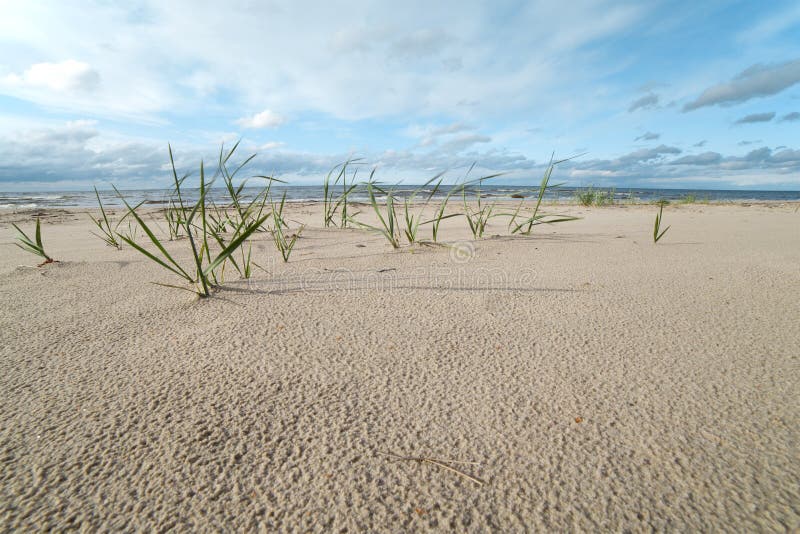 Grass and sand. stock photo. Image of dune, shore, horizon - 25148354