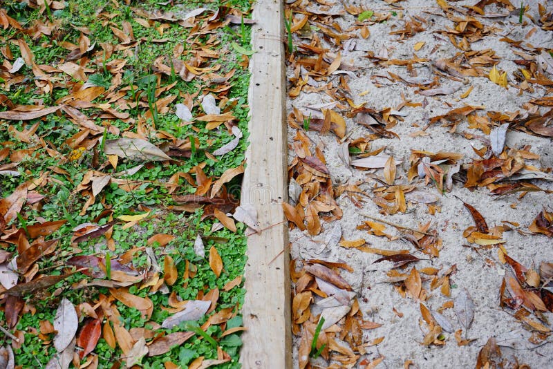 Grass, sand and leaf stock photo. Image of land, nature - 101658716