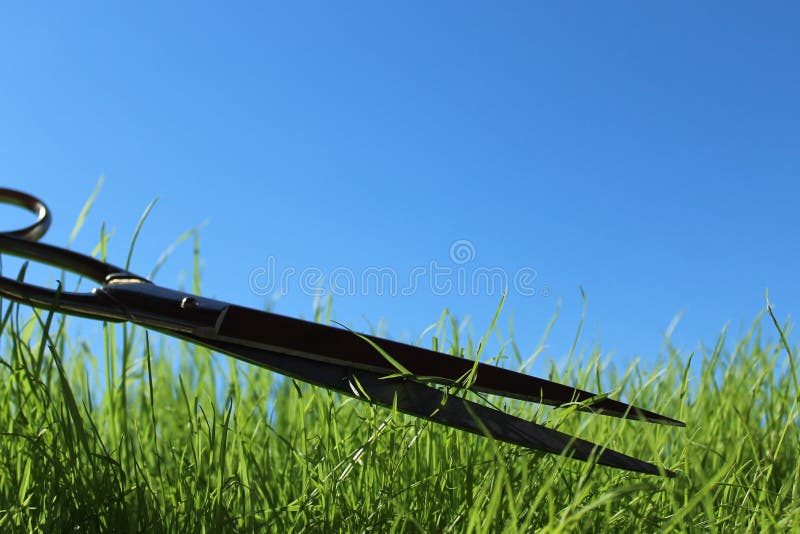Grass and Scissors in Front of the Blue Sky Stock Photo - Image of ...