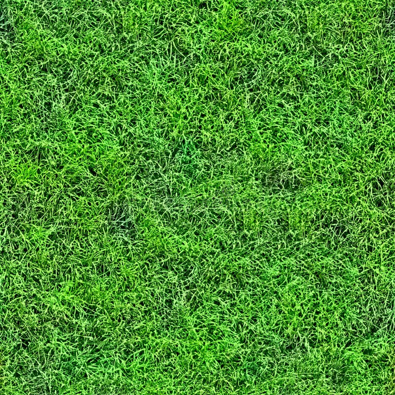 Seamless grass texture stock photo. Image of natural - 38820116