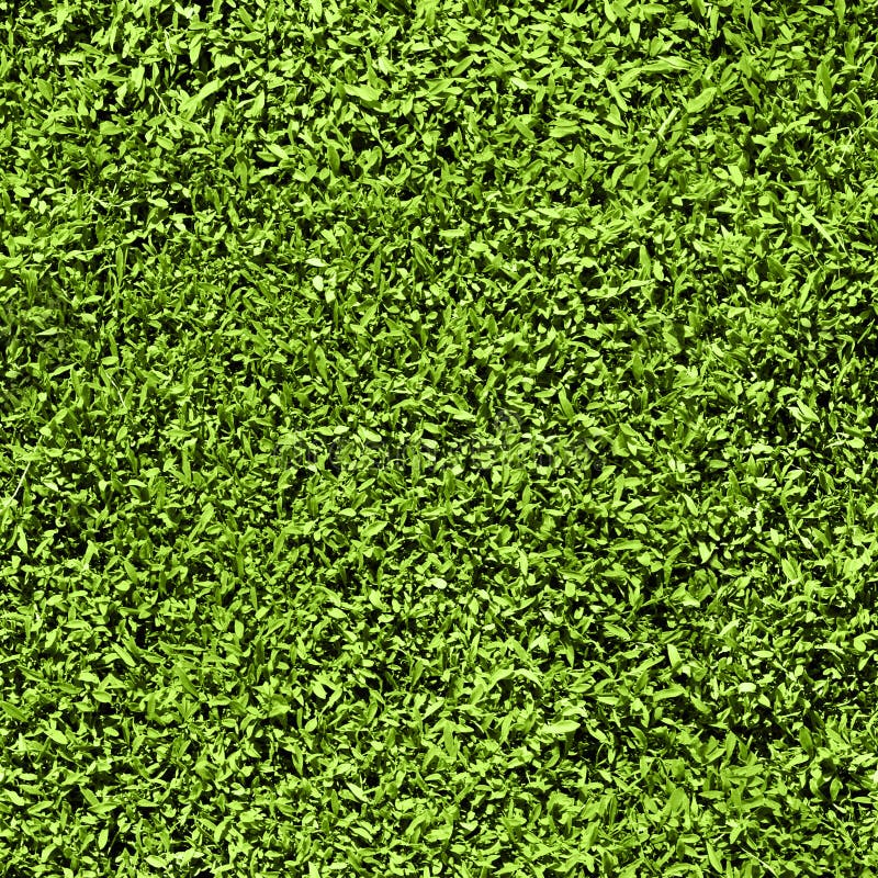 Grass seamless pattern stock photo. Image of meadow, grunge - 14172364