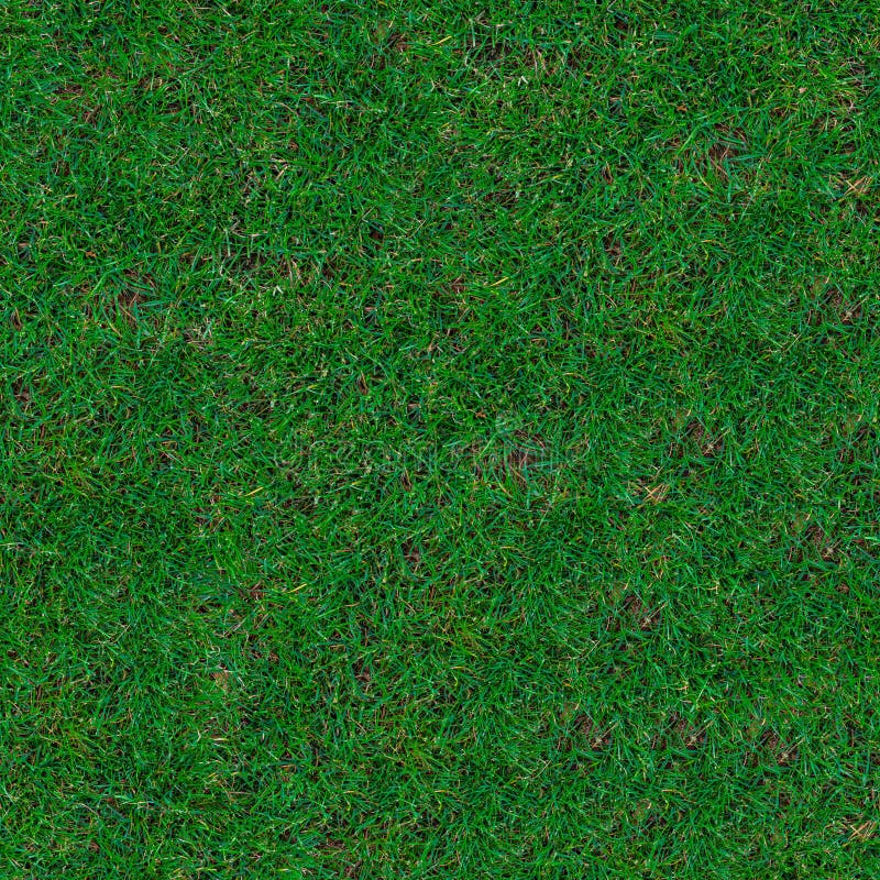Dark Grass Texture Seamless