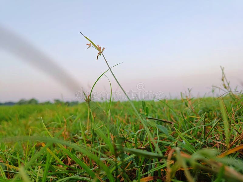 Acutal Symbol Stock Photos - Free & Royalty-Free Stock Photos from ...