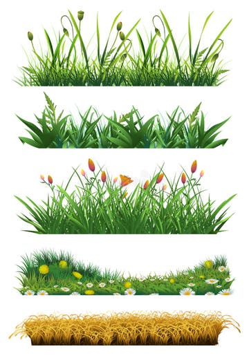 Grass Set of Vector Elements Stock Vector - Illustration of beauty ...