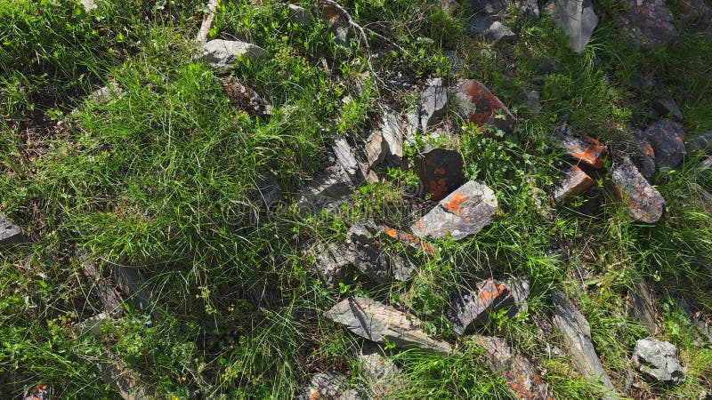 Grass between Sharp Rocks at Sunny Windy Day in Mountains Stock Video ...