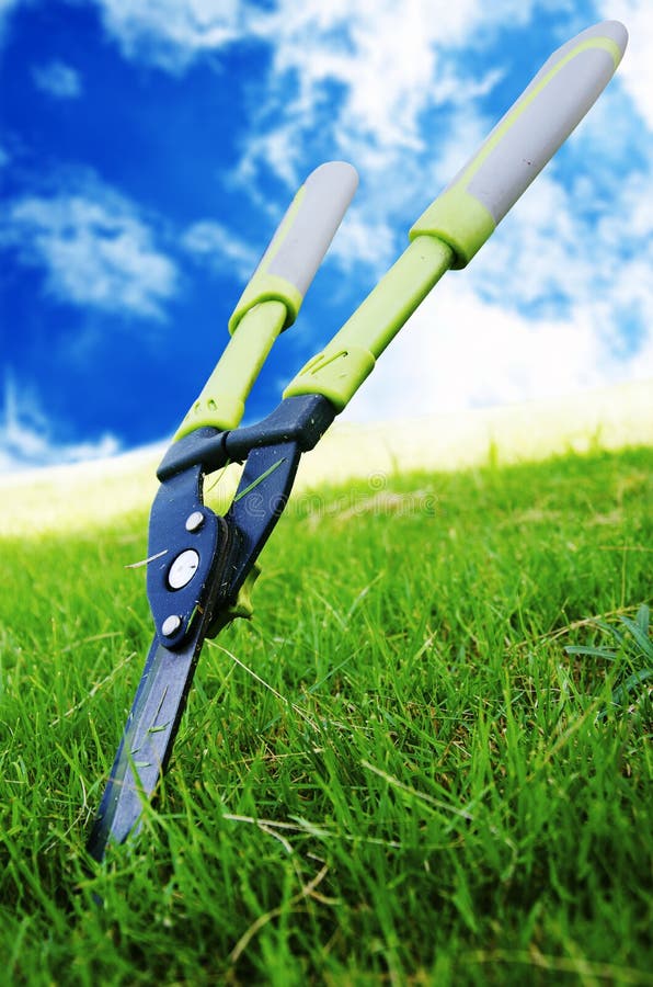 Grass Shears stock photo. Image of cutting, home, horizontal - 35833548