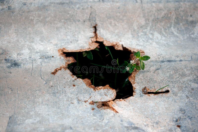 Obtrude Stock Photos - Free & Royalty-Free Stock Photos from Dreamstime