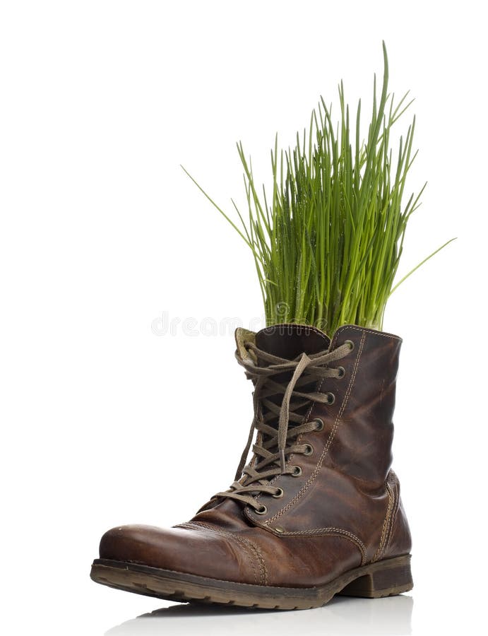 GRASS SHOES stock image. Image of lifestyle, marathon - 23919909