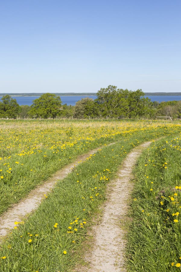 Grass shoulder road stock photo. Image of field, farmland - 40567842
