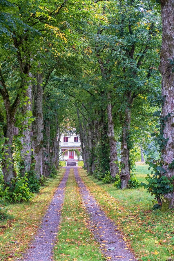 Grass Shoulder Road To a Country House Stock Image - Image of dirt ...