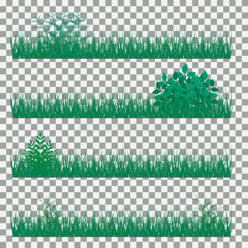 Grass, Shrubs. a Set of Various Types of Grass. Set of Grass on a ...
