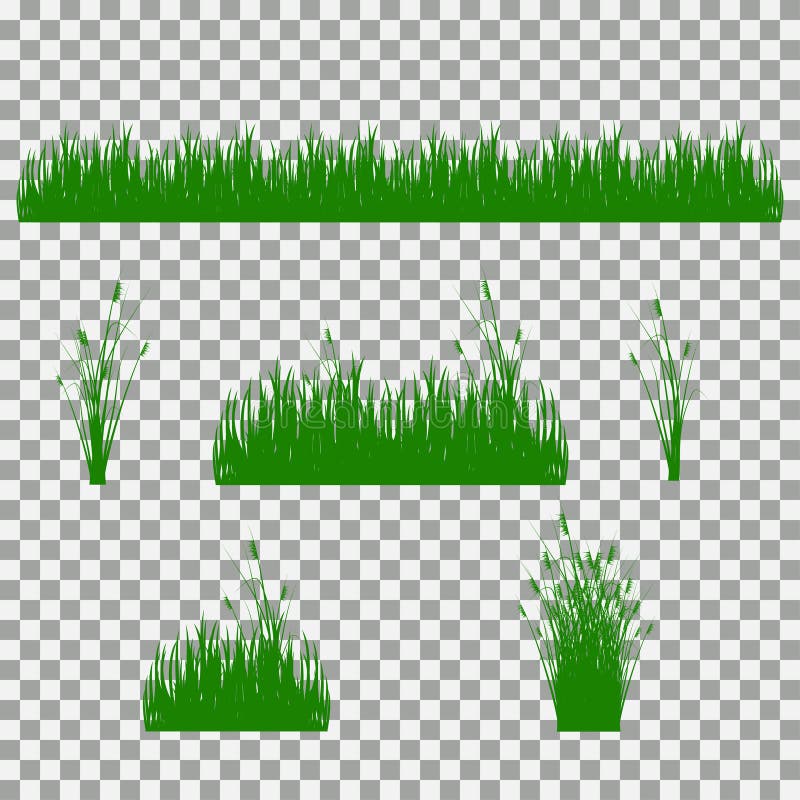 Grass, Shrubs. a Set of Various Types of Grass. Set of Grass on a ...