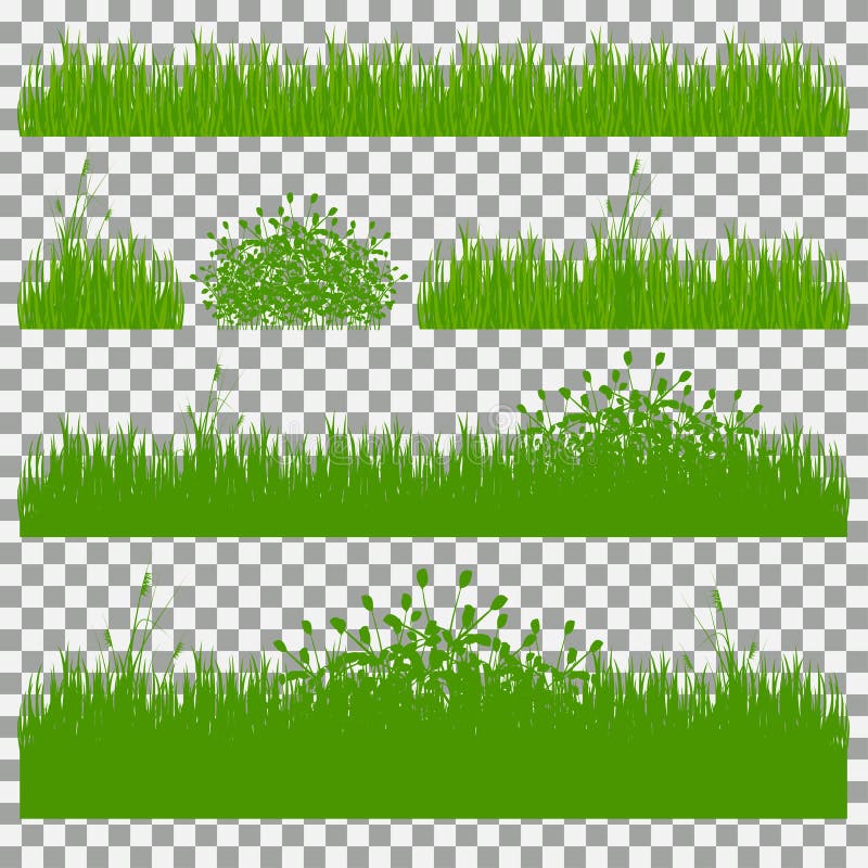 Grass, Shrubs. a Set of Various Types of Grass. Set of Grass on a ...