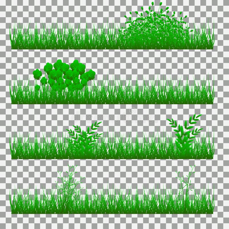 Grass, Shrubs. a Set of Various Types of Grass. Set of Grass on a ...