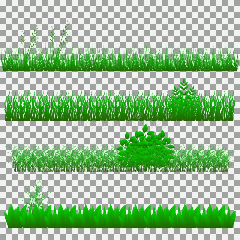 Grass, Shrubs. a Set of Various Types of Grass. Set of Grass on a ...