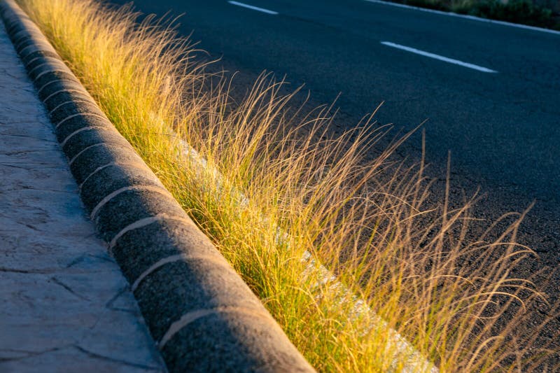 Grass on the Side of the Road Stock Image - Image of view, asphalt ...