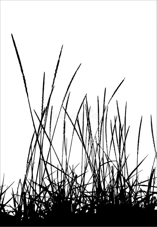 Grass Silhouette Stock Illustration Illustration Of Branch 3100062
