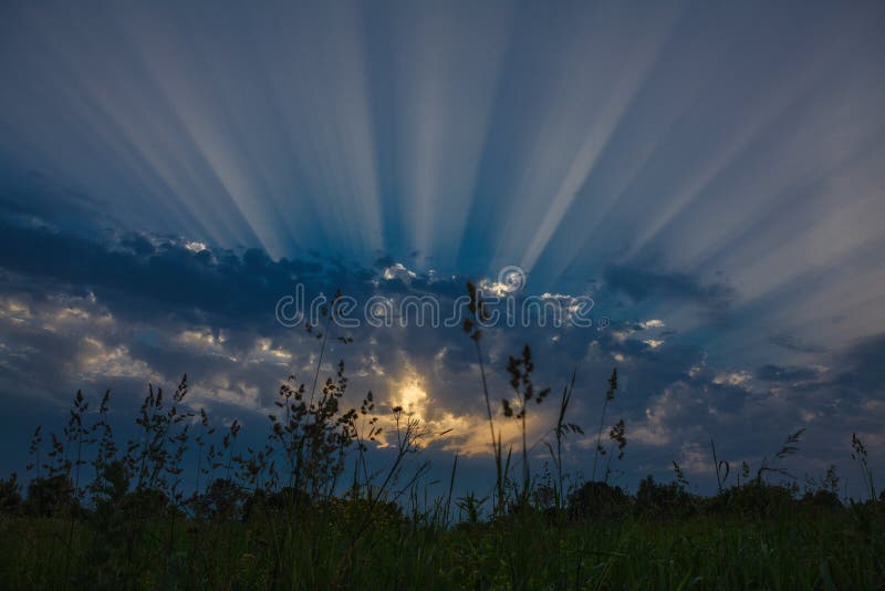 Grass Silhouette on Background of Sundown Rays Stock Photo - Image of ...