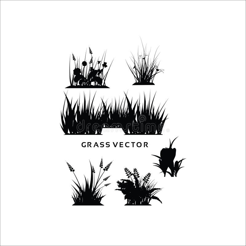 Grass silhouette stock vector. Illustration of flora - 211256018