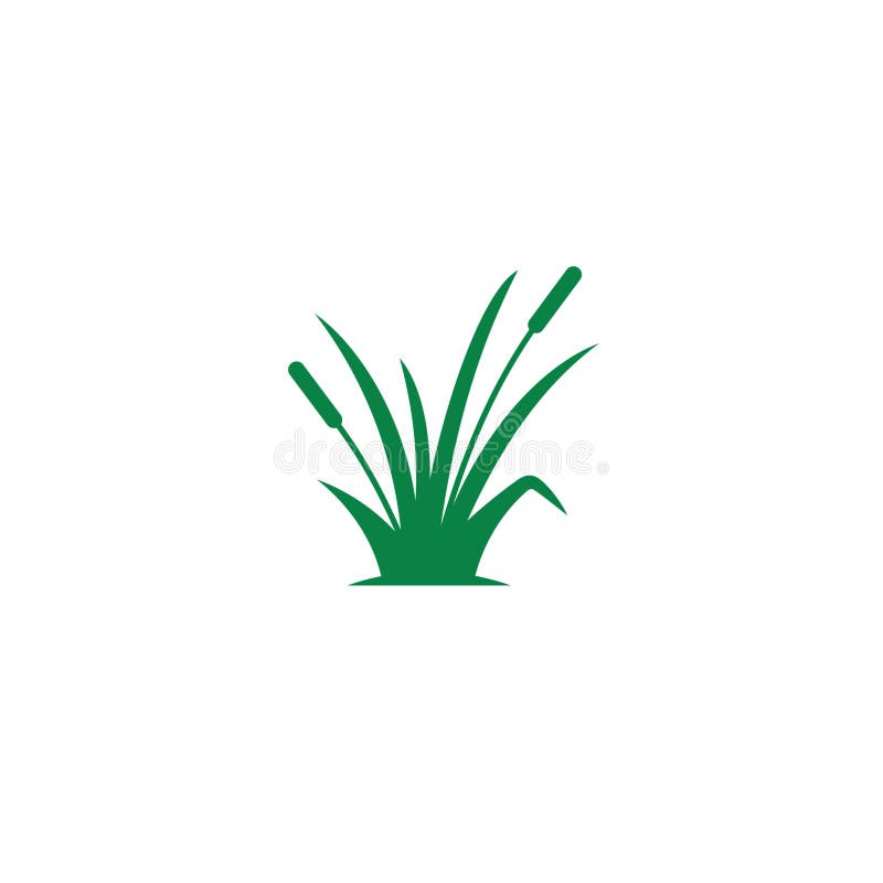 Grass stock vector. Illustration of environment, silhouette - 302436934