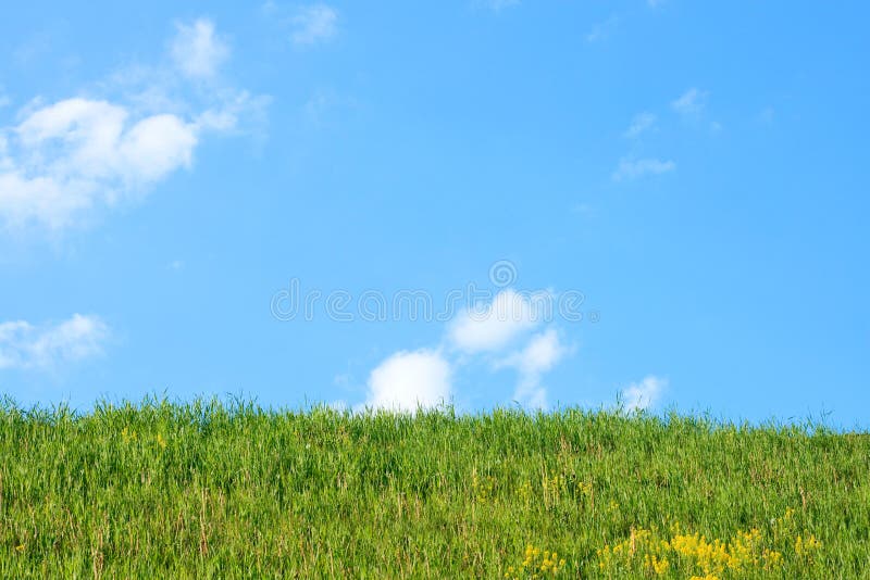 Grass Horizon stock photo. Image of countryside, field - 17619004