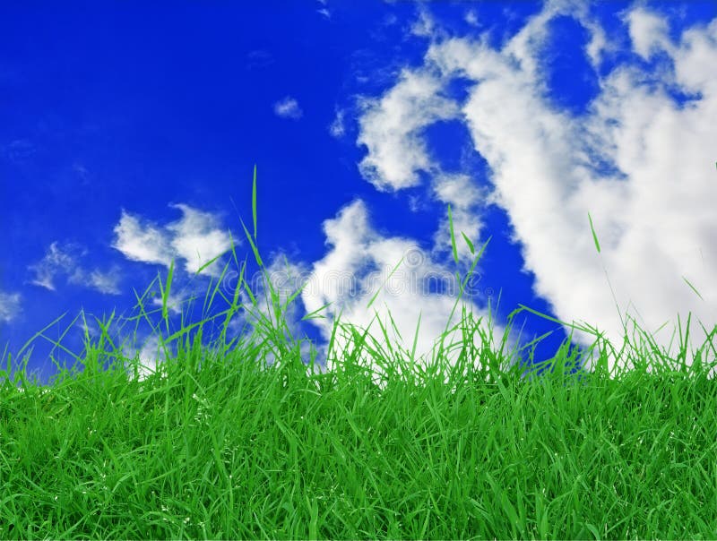 Grass and sky stock image. Image of lawn, meadows, grass - 15325789