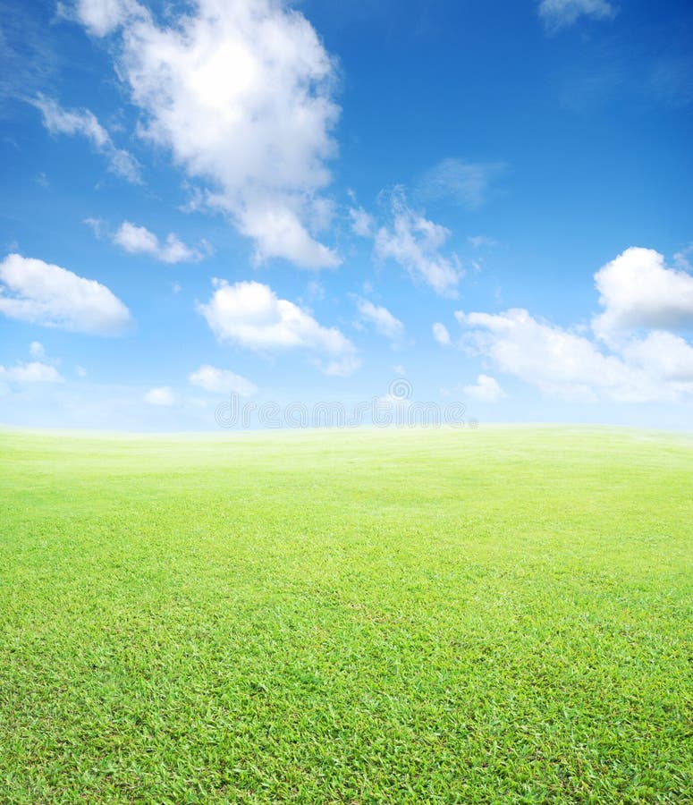 Green grass and blue sky stock image. Image of landscaped - 2499759