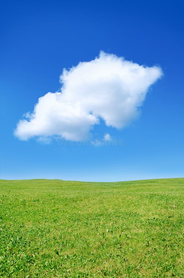 Grass, sky and cloud stock photo. Image of white, grass - 37520640