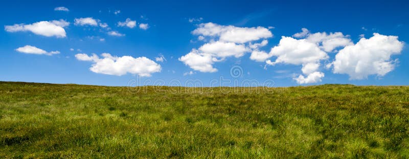 Grass, sky and clouds stock photo. Image of skyline - 122091366