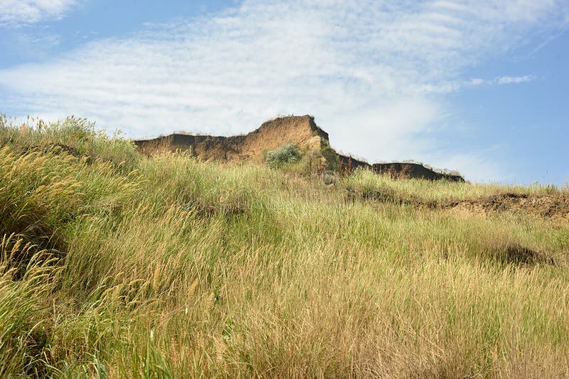 Grass and Sky, the Coastal Area.Vegetation Over the Cliff. Stock Photo ...