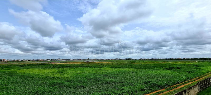 Grass and sky stock image. Image of sunlight, grass - 274389859