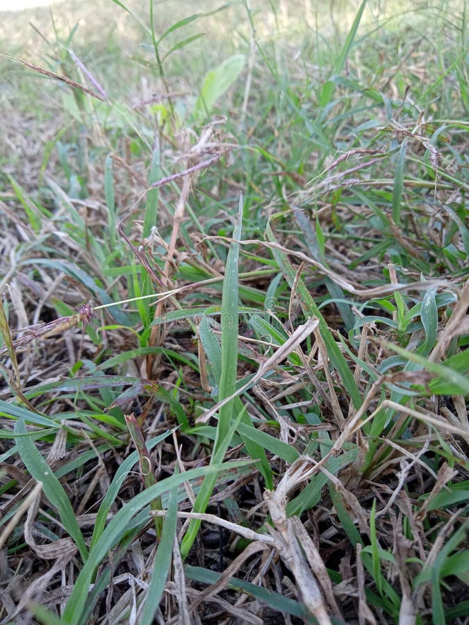 How To Draw Cartoon Desk Easy Stock Photos - Free & Royalty-Free Stock ...