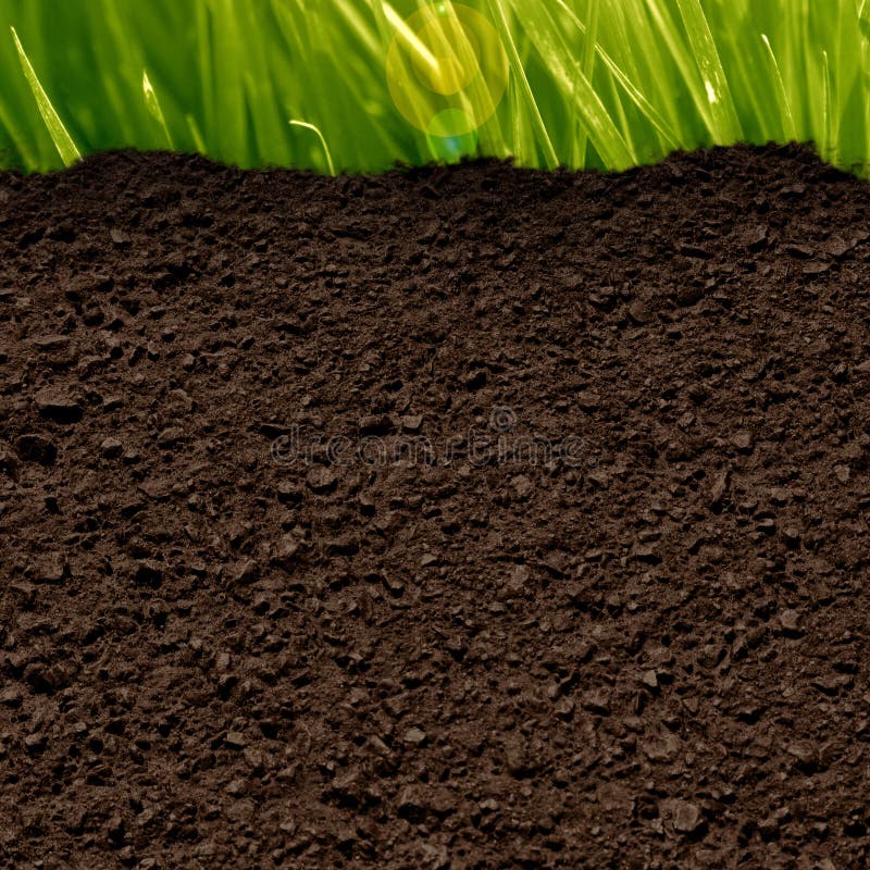 Soil and Green Grass stock illustration. Illustration of scenic - 32966324