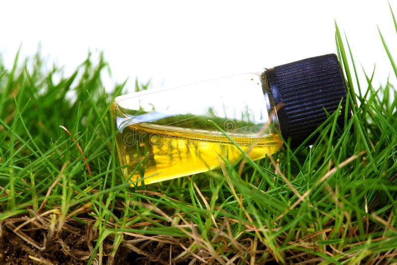 Grass and soil treatment stock image. Image of greenery - 20190687