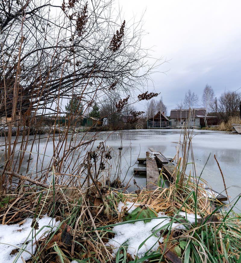 Grass with a Song of Snow Against the Background of the Lake Stock ...