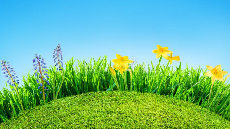 Grass and spring flowers stock image. Image of beauty - 113312307