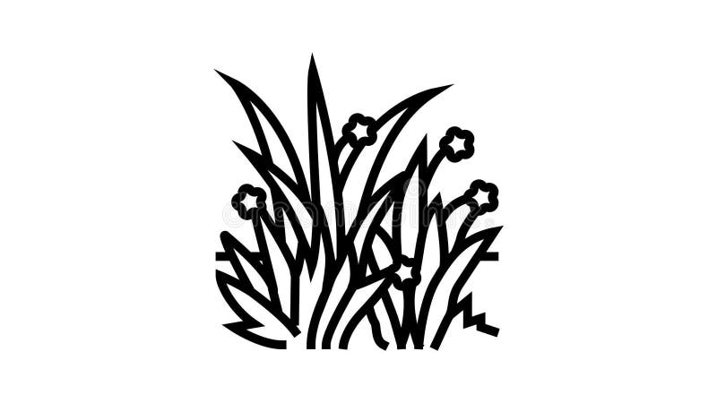 Grass Spring Line Icon Animation Stock Video - Video of grass, abstract ...