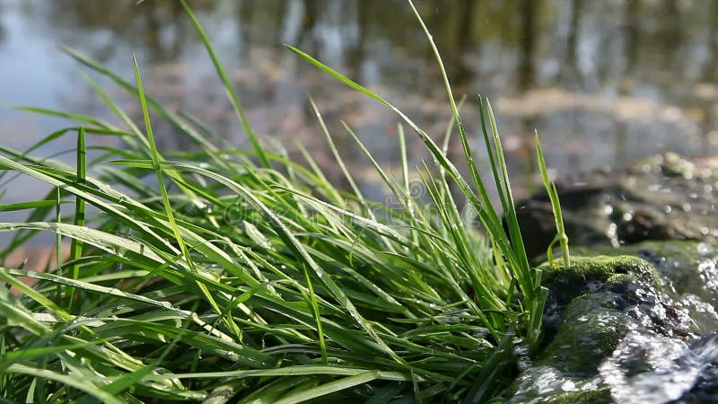 Spring Water Straight from the Source and Stunning Water Textures ...