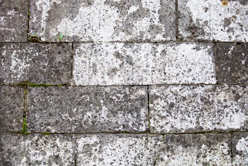 2,003 Medieval Grass Texture Stock Photos - Free & Royalty-Free Stock ...