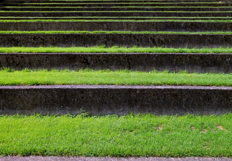 Grass stairs stock image. Image of staircase, lawn, closeup - 16354163