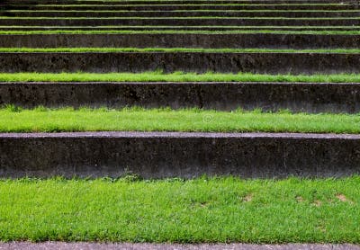 Grass stairs stock image. Image of staircase, lawn, closeup - 16354163