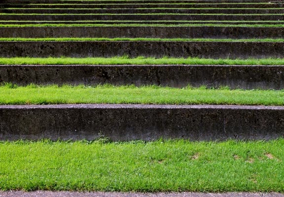 Grass stairs stock image. Image of staircase, lawn, closeup - 16354163